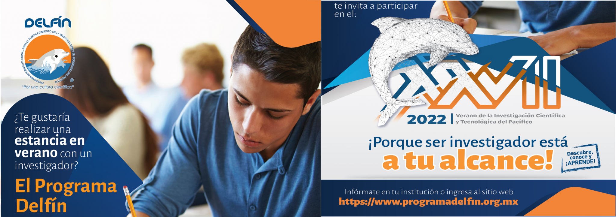 Verano Delfin – Dirección General de Investigación y Posgrado